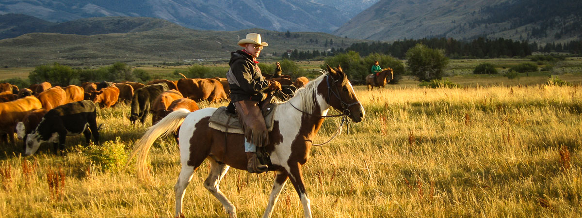 The Best Dude Ranches in North America - Welcome to The Spur Alliance