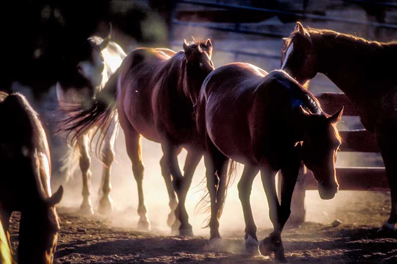 Three Bars Ranch British Columbia BestDudeRanches