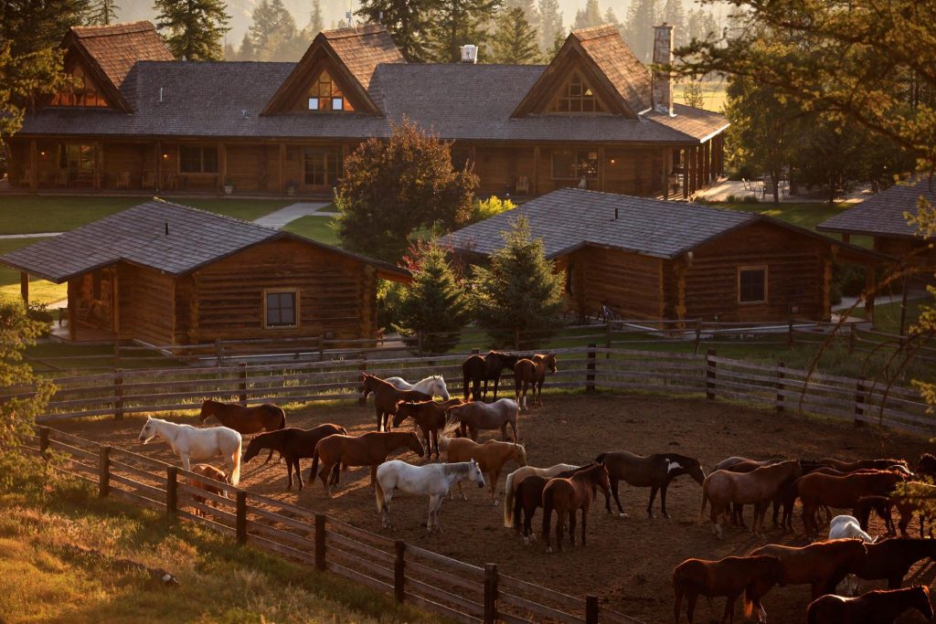 horses at three bars ranch | BestDudeRanches.com
